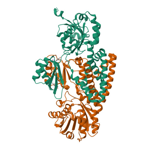 RCSB PDB - 5UYY: Crystal structure of prephenate dehydrogenase tyrA ...