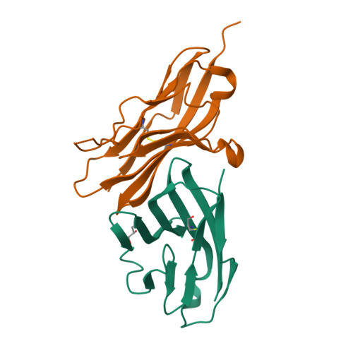 RCSB PDB - 5V52: Structure of TIGIT bound to nectin-2 (CD112)