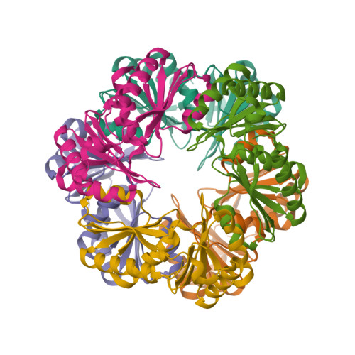 RCSB PDB - 5V75: Structure of Haliangium ochraceum BMC-T HO-5816