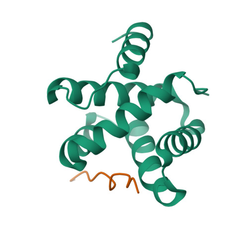 RCSB PDB - 5VAP: Crystal structure of eVP30 C-terminus and eNP peptide