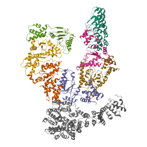 RCSB PDB - 5VHR: Conformational Landscape of the p28-Bound Human ...