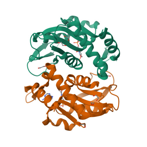 RCSB PDB - 5VJP: Crystal Structure of Adenine Phosphoribosyltransferase ...