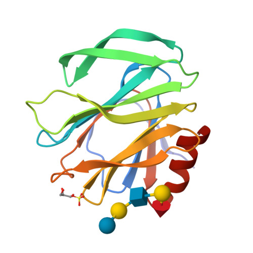 RCSB PDB - 5VKS: Crystal structure of P[19] rotavirus VP8* complexed ...
