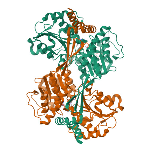 RCSB PDB - 5VLD: Crystal Structure of Medicago truncatula L-Histidinol ...