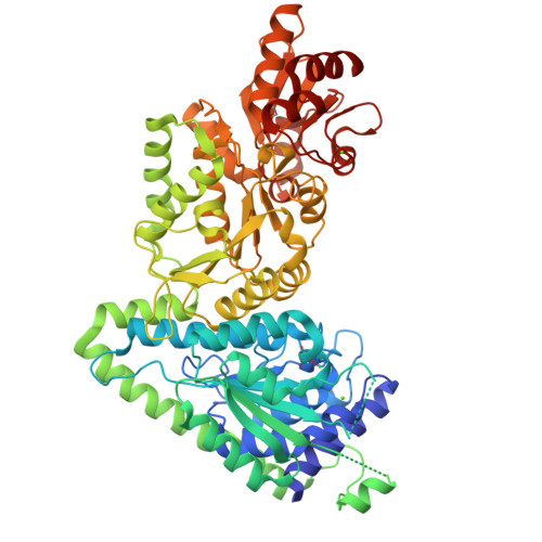 RCSB PDB - 5VRB: Crystal structure of a transketolase from Neisseria ...