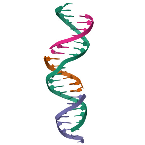 RCSB PDB - 5VY6: A self-assembling D-form DNA crystal lattice