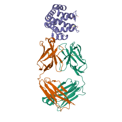 RCSB PDB - 5VYF: Structure of single chain Fel d 1 bound to a ...