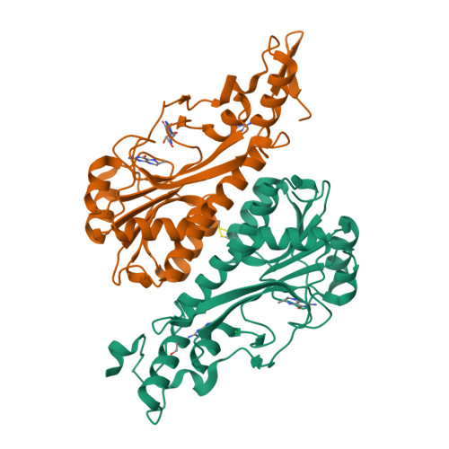 RCSB PDB - 5VYR: Crystal structure of the WbkC formyl transferase from ...