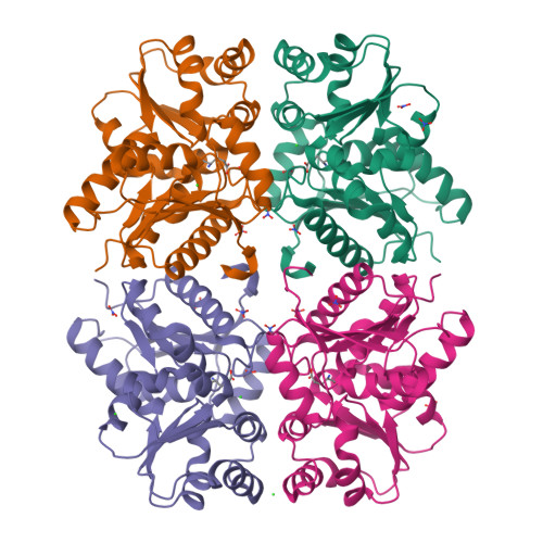 RCSB PDB - 5W16: Crystal structure of glutamate racemase from Thermus ...