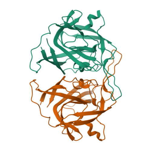 RCSB PDB - 5W1N: Crystal structure of the human astrovirus 2 Oxford ...