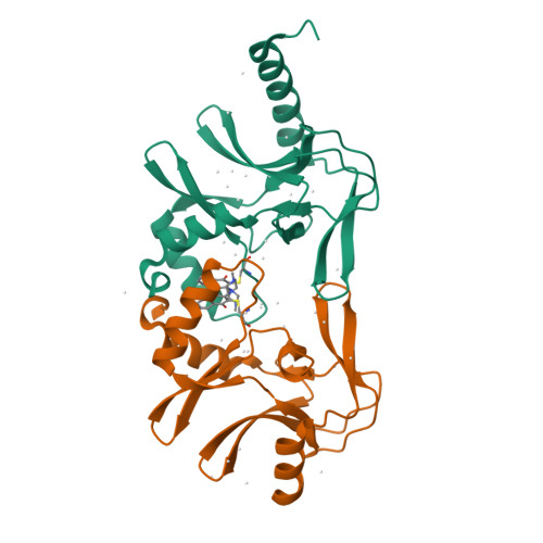 RCSB PDB - 5W1Y: SETD8 in complex with a covalent inhibitor