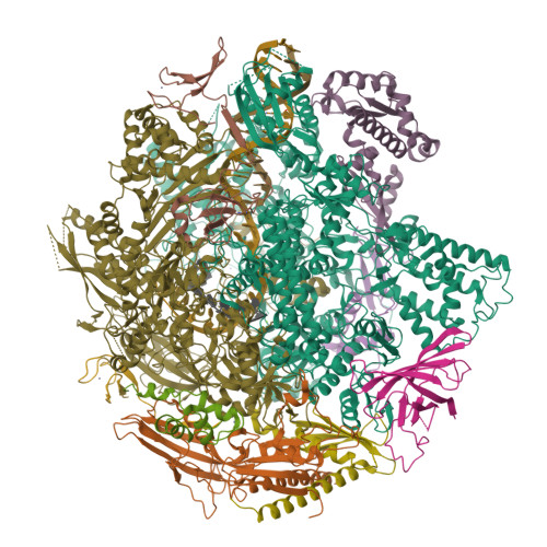 RCSB PDB - 5W4U: Pol II elongation complex with an N6-methyladenine ...