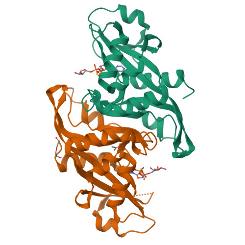 RCSB PDB - 5W6X: Crystal structure of the HsNUDT16 in complex with Mg+2 ...