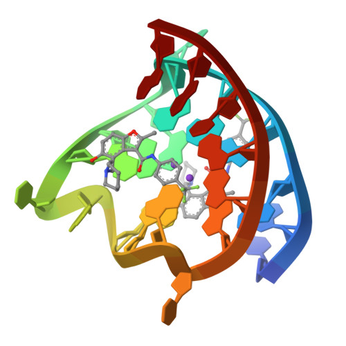 RCSB PDB - 5W77: Solution structure of the MYC G-quadruplex bound to ...