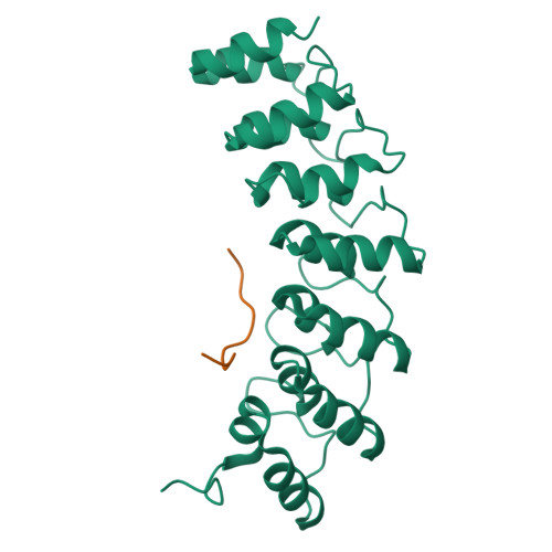 RCSB PDB - 5W7I: X-ray structure of ankyrin repeat domain of DHHC17 in ...