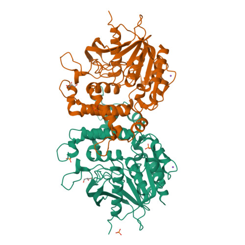 RCSB PDB - 5W8P: Homoserine transacetylase MetX from Mycobacterium ...