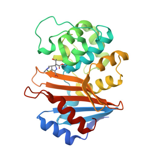 RCSB PDB - 5WI7: Structure of Acinetobacter baumannii carbapenemase OXA ...