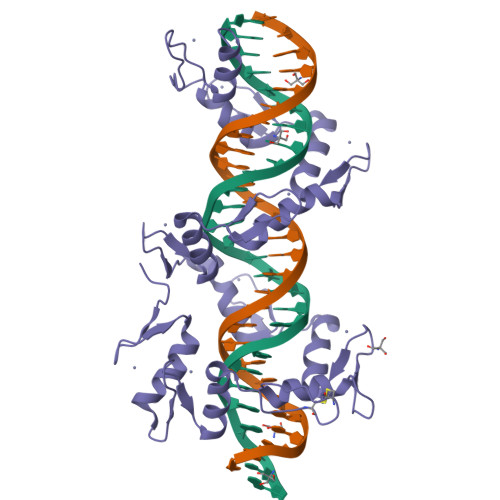 RCSB PDB - 5WJQ: mouseZFP568-ZnF2-11 in complex with DNA