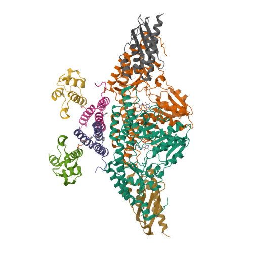 RCSB PDB - 5WLW: Crystal Structure of the Human Mitochondrial Cysteine ...