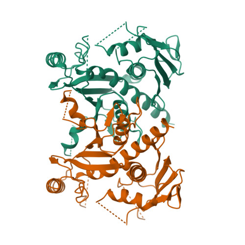 RCSB PDB - 5WUY: Crystal structure of chorismate synthase from ...