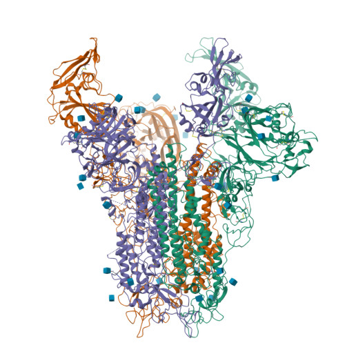 RCSB PDB - 5X59: Prefusion structure of MERS-CoV spike glycoprotein ...