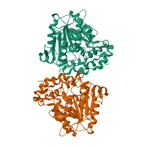 RCSB PDB - 5XAV: Structure of PhaC from Chromobacterium sp. USM2