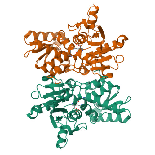 RCSB PDB - 5XCW: Crystal structure of M92A-M120A double mutant of O ...