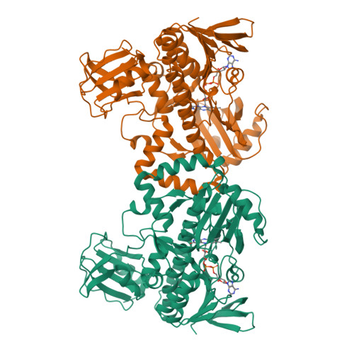 RCSB PDB - 5XGV: The structure of Diels-Alderase PyrE3 in the ...