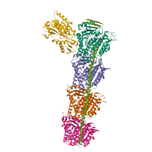 RCSB PDB - 5XKH: Crystal structure of T2R-TTL-CF1 complex