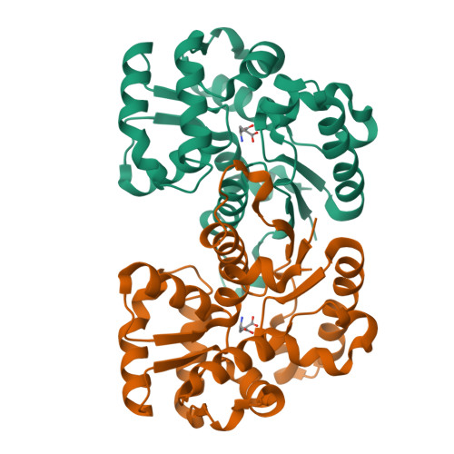 RCSB PDB - 5XNJ: Crystal structure of Microcystis aeruginosa PCC 7806 ...