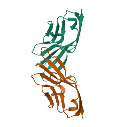 RCSB PDB - 5XPV: Structure of the V domain of amphioxus IgVJ-C2