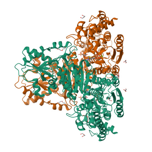 RCSB PDB - 5XRV: Crystal Structure of Transketolase in complex with TPP ...