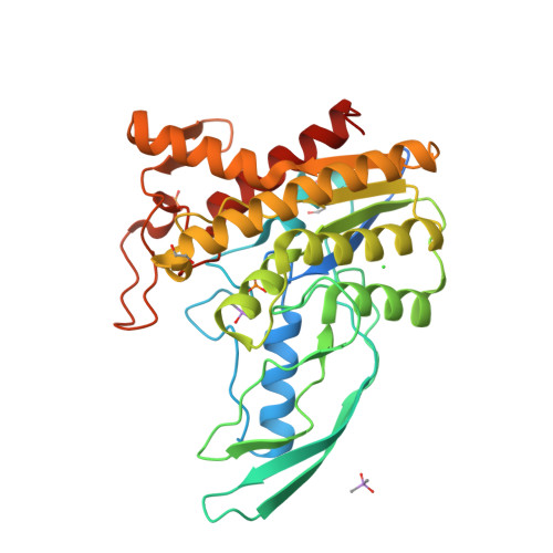 RCSB PDB - 5XTU: Crystal Structure of GDSL Esterase of Photobacterium ...