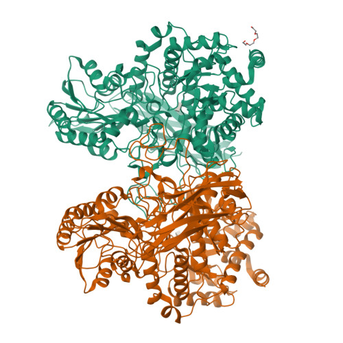 RCSB PDB - 5XXM: Crystal structure of GH3 beta-glucosidase from ...
