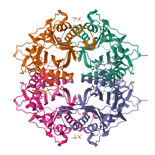 RCSB PDB - 5XYP: Structure of 6-aminohexanoate-oligomer hydrolase from ...