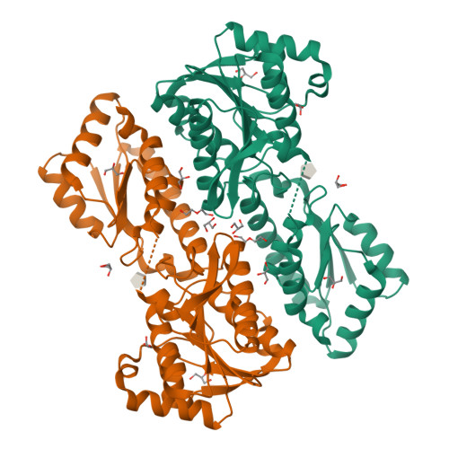RCSB PDB - 5XZ7: Crystal Structure of Phosphofructokinase from ...