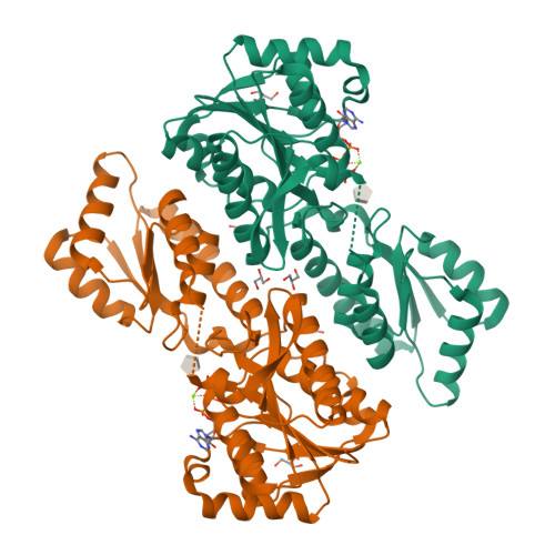 RCSB PDB - 5XZ8: Crystal Structure of Phosphofructokinase from ...