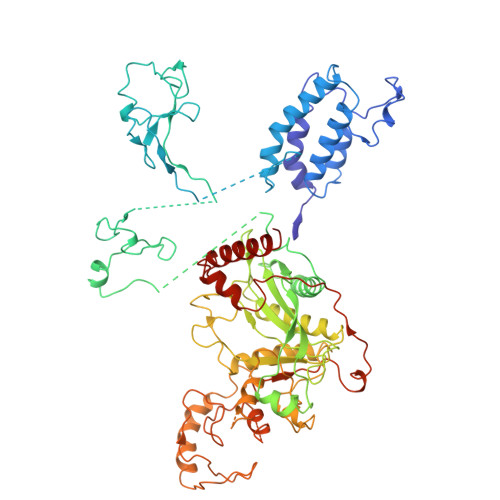RCSB PDB - 5XZC: Cryo-EM structure of p300-p53 protein complex