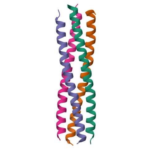 RCSB PDB - 5Y2H: Crystal structure of the oligomerization domain of ...