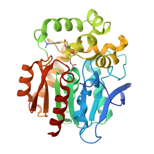 RCSB PDB - 5Y2Y: Crystal structure of HaloTag (M175C) complexed with ...