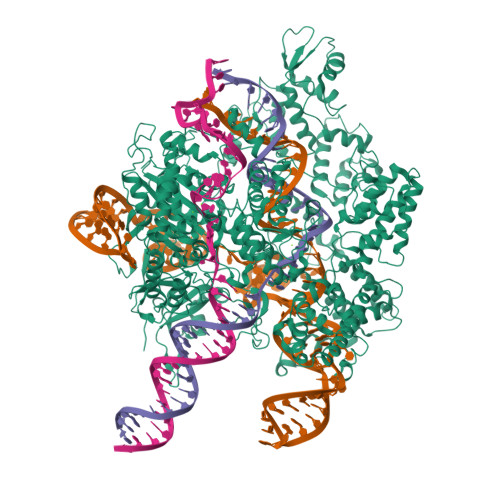 RCSB PDB - 5Y36: Cryo-EM structure of SpCas9-sgRNA-DNA ternary complex