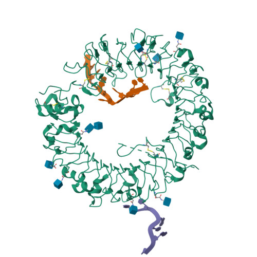 RCSB PDB - 5Y3K: Crystal structure of horse TLR9 in complex with two ...