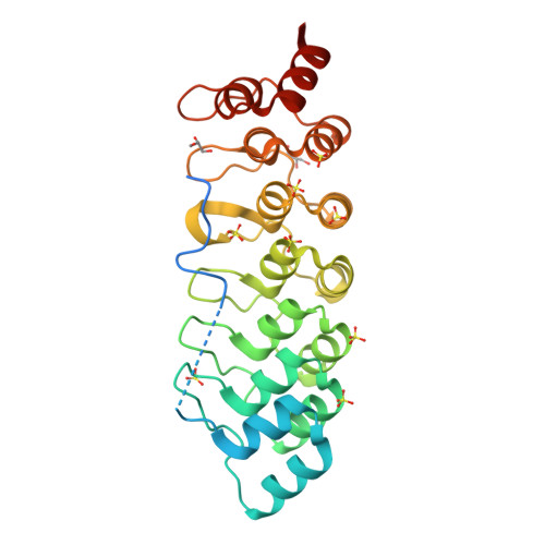 RCSB PDB - 5Y4E: Crystal Structure of AnkB Ankyrin Repeats R8-14 in ...