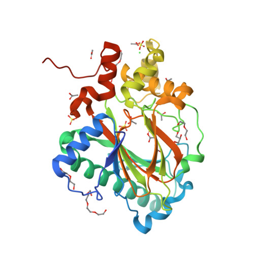 RCSB PDB - 5Y9X: Crystal structure of the Kdo hydroxylase KdoO, a non ...