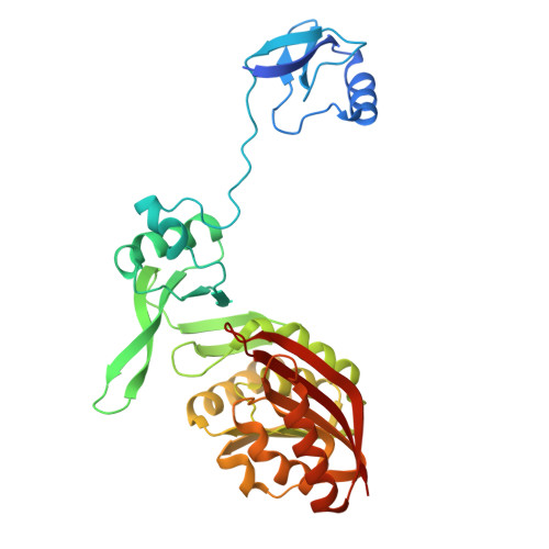 RCSB PDB - 5YAC: Crystal structure of WT Trm5b from Pyrococcus abyssi