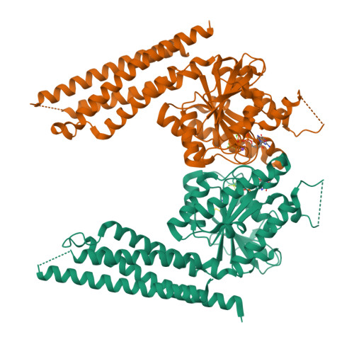 RCSB PDB - 5YEW: Structural basis for GTP hydrolysis and conformational ...