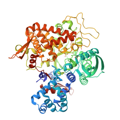 RCSB PDB - 5YFD: Crystal structure of a new DPP III family member