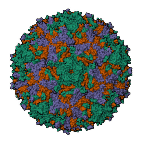 RCSB PDB - 5YHQ: Cryo-EM Structure of CVA6 VLP