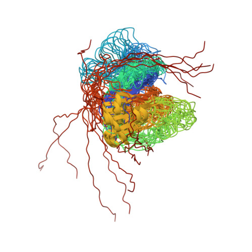 Mrna Structure 3d