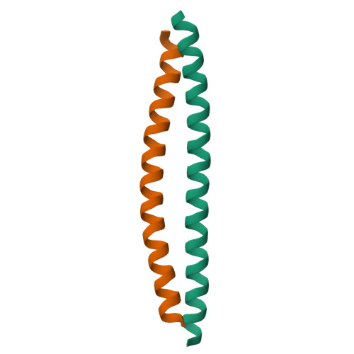 RCSB PDB - 5YR0: Structure of Beclin1-UVRAG coiled coil domain complex